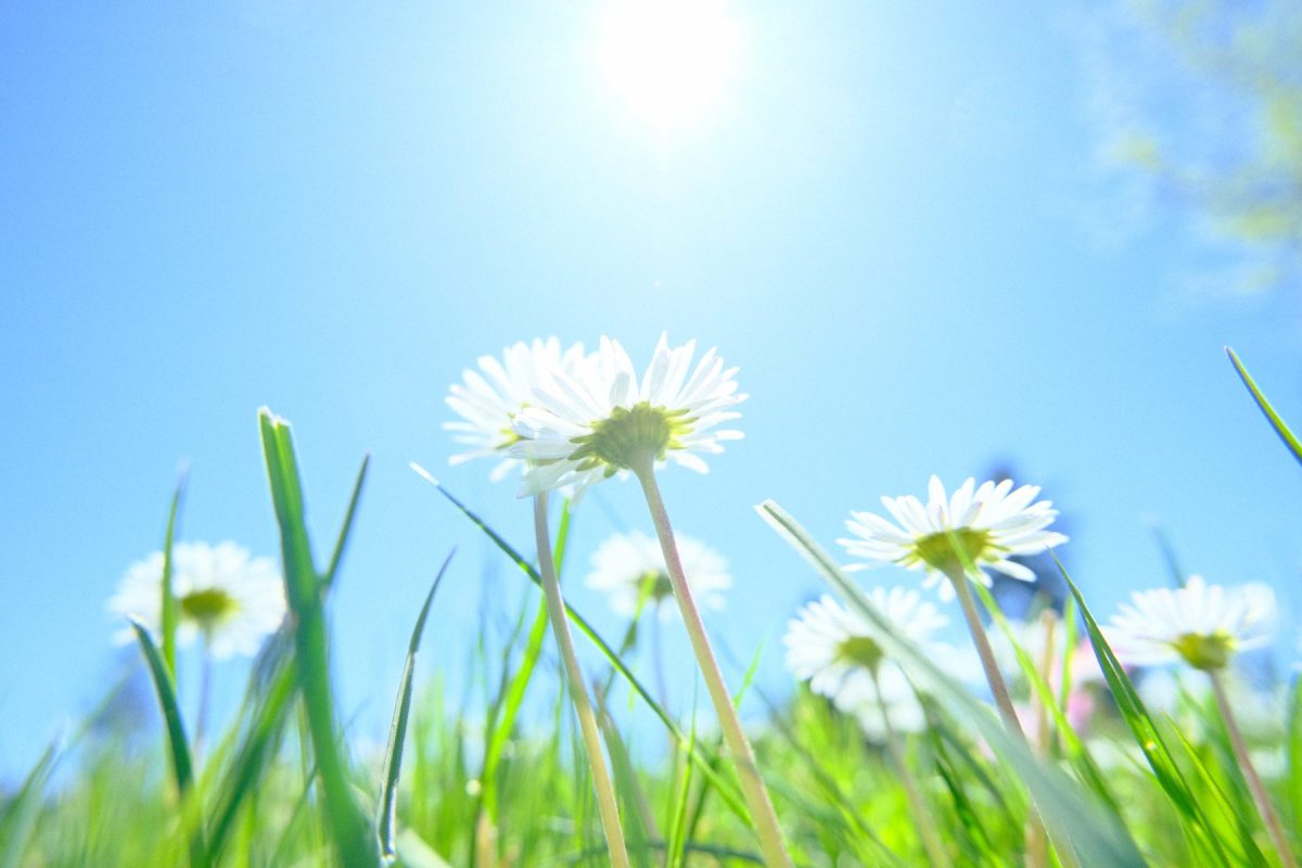 Masaru received the Outstanding Graduate Student Service Award (2023/24) – Masaru Yamamoto